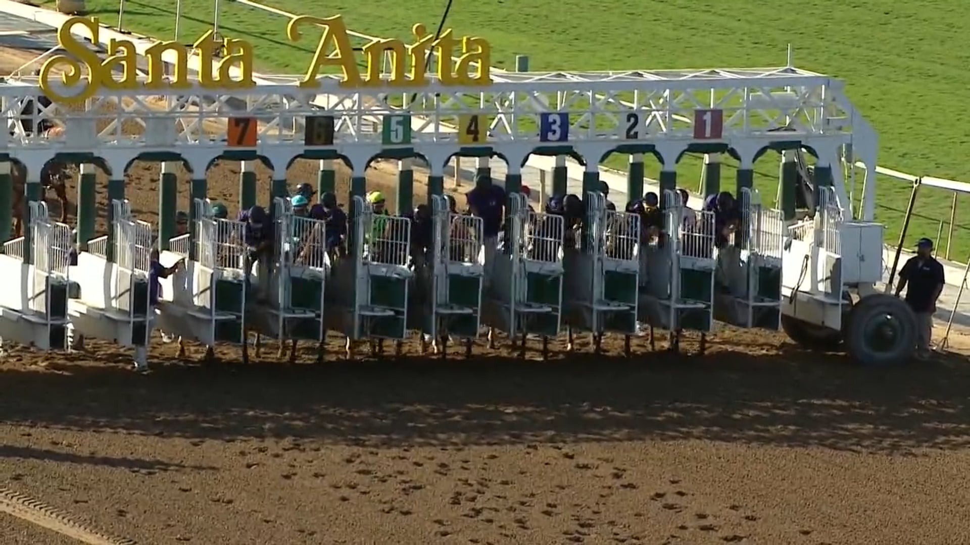 Corniche | Stallions - Coolmore America