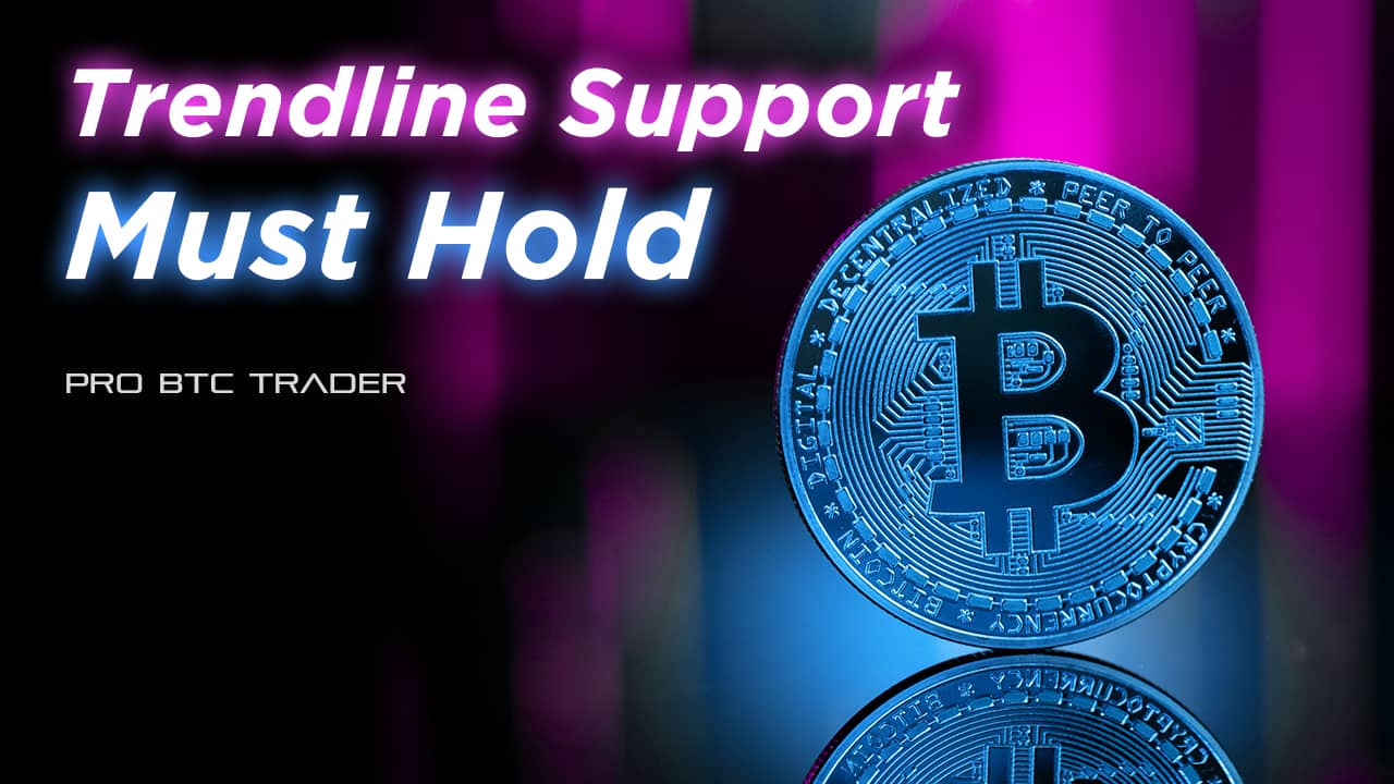 Pro BTC Trader, August 24 on Vimeo