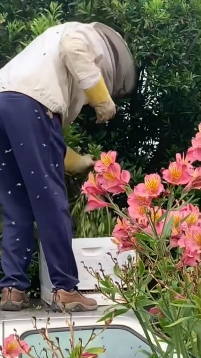 Joshua Grindle Inn innkeeper / beekeeper on Vimeo