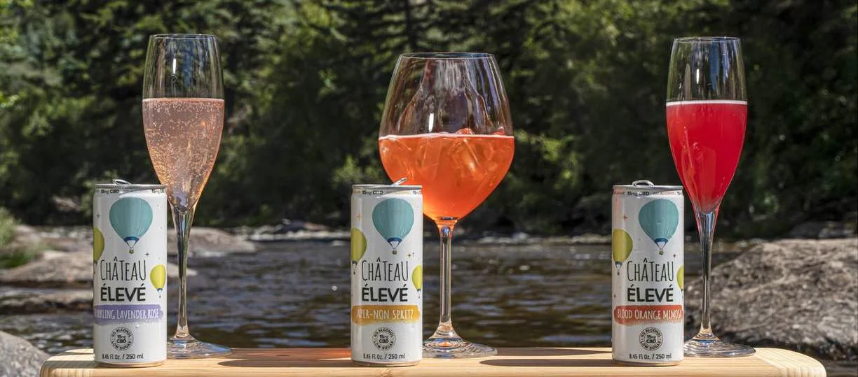 Introduction to Chateau Eleve on Vimeo