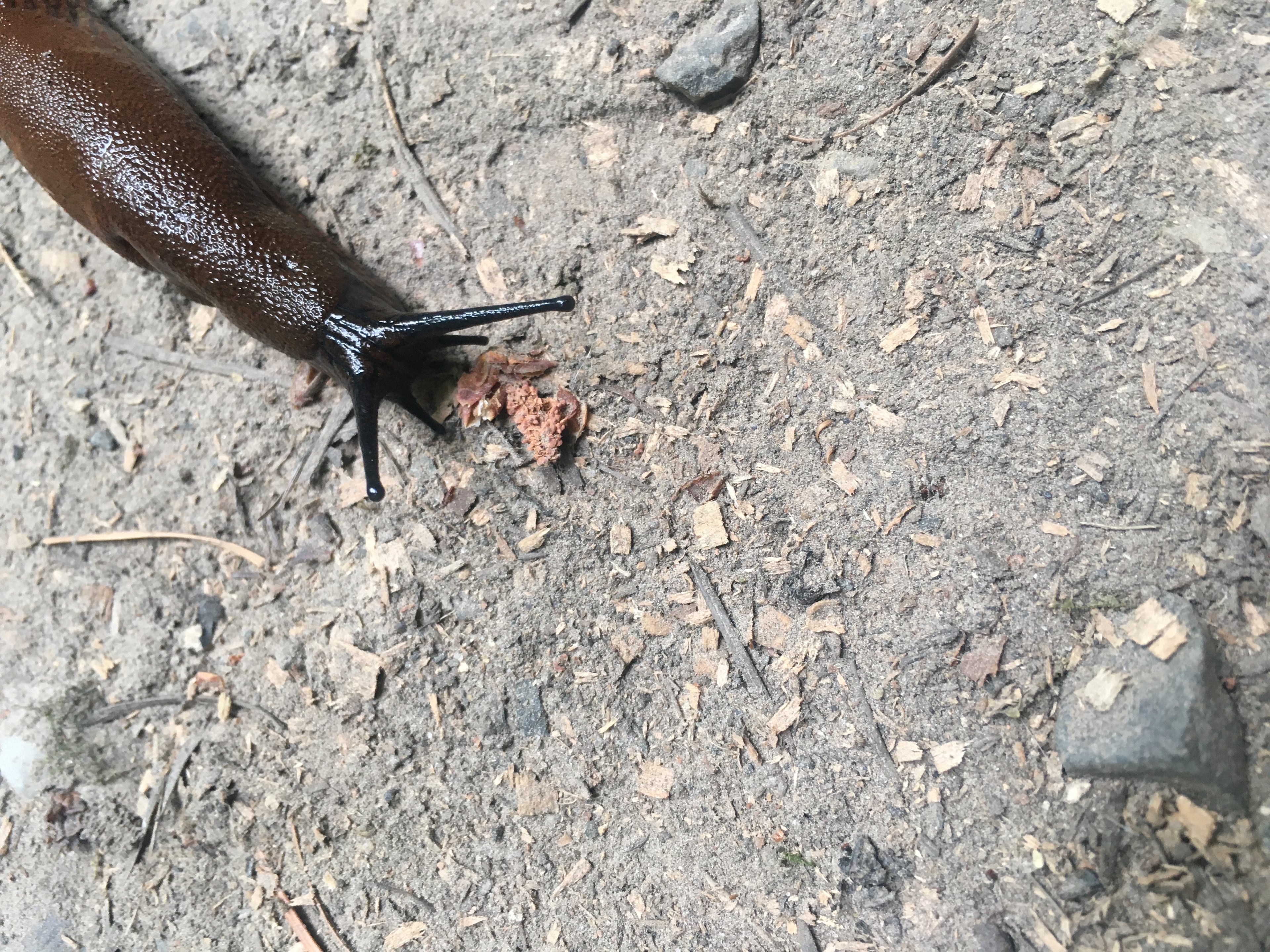 Sluggish day on Vimeo