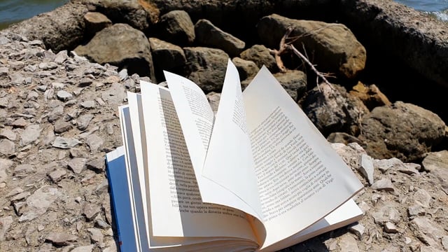 Book, Read, Sea. Free Stock Video - Pixabay
