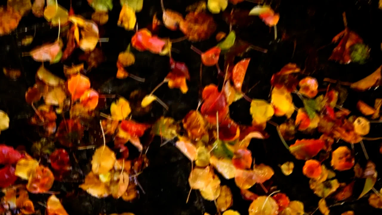 Pañuela Teaser on Vimeo