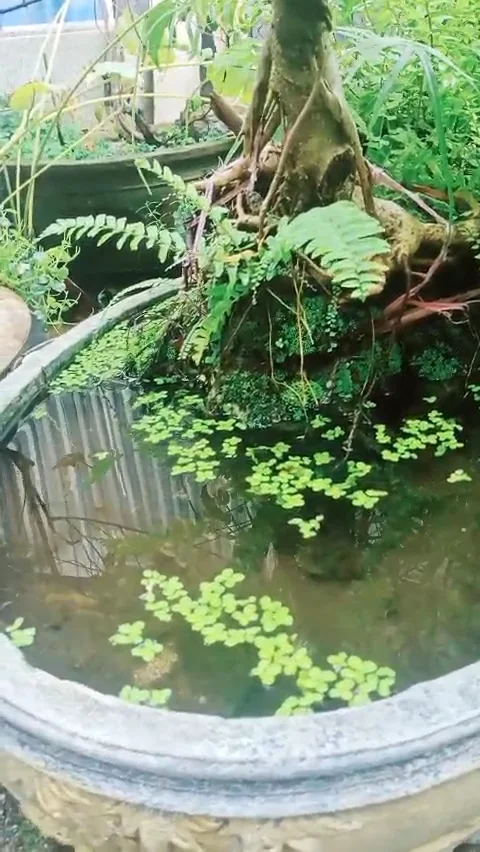 ho ca on Vimeo