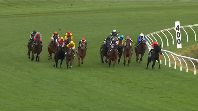 I Am Invincible - Stallion | Breednet