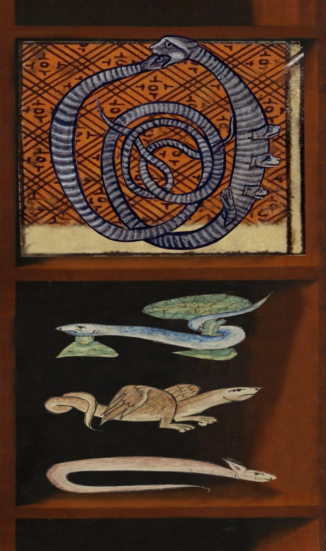 Bestiaires serpents & vers – les mythes.com