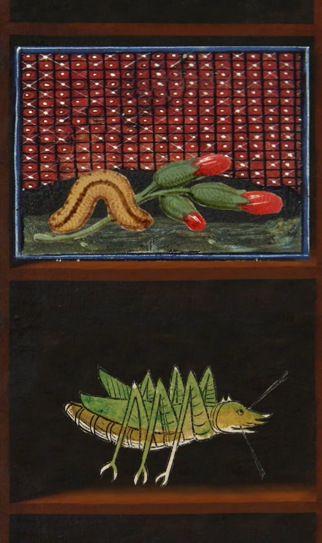 Bestiaires serpents & vers – les mythes.com