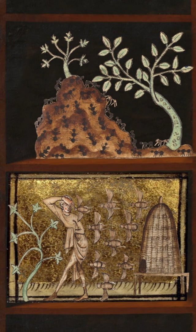 Bestiaires serpents & vers – les mythes.com