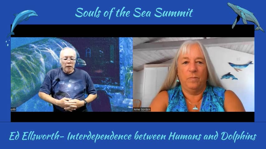 Ed Ellsworth Promo Clip on Vimeo