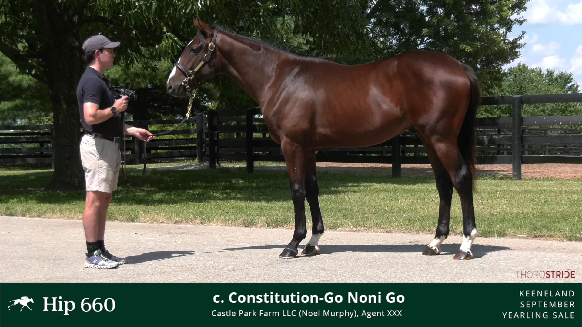 KEESEP22_660_Go Noni Go 21 on Vimeo