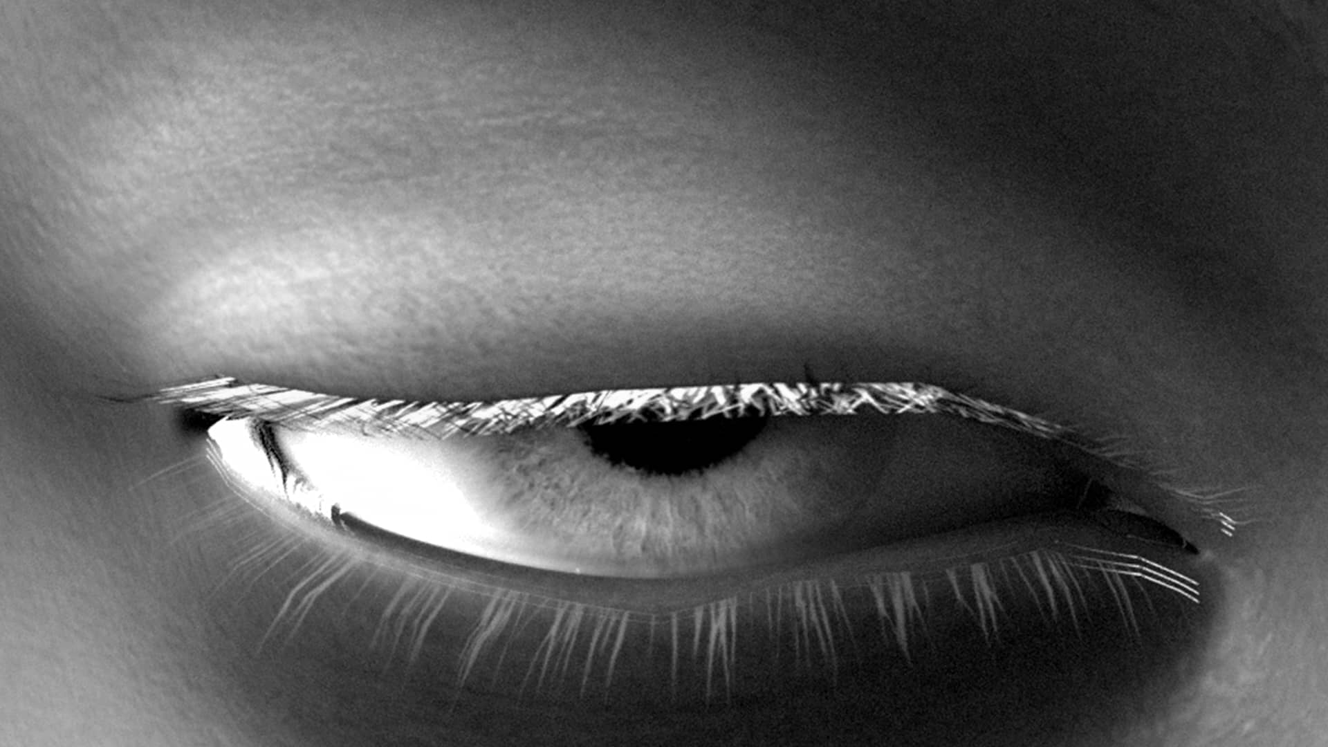 Zoom Animation_BL on Vimeo