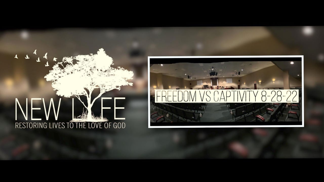 Freedom vs Captivity 8-28-22 on Vimeo