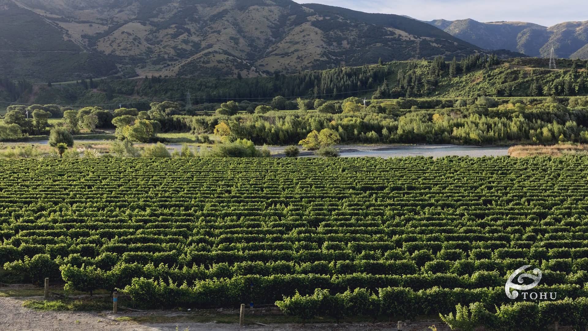 Tohu_Whenua Series_brandvideo on Vimeo