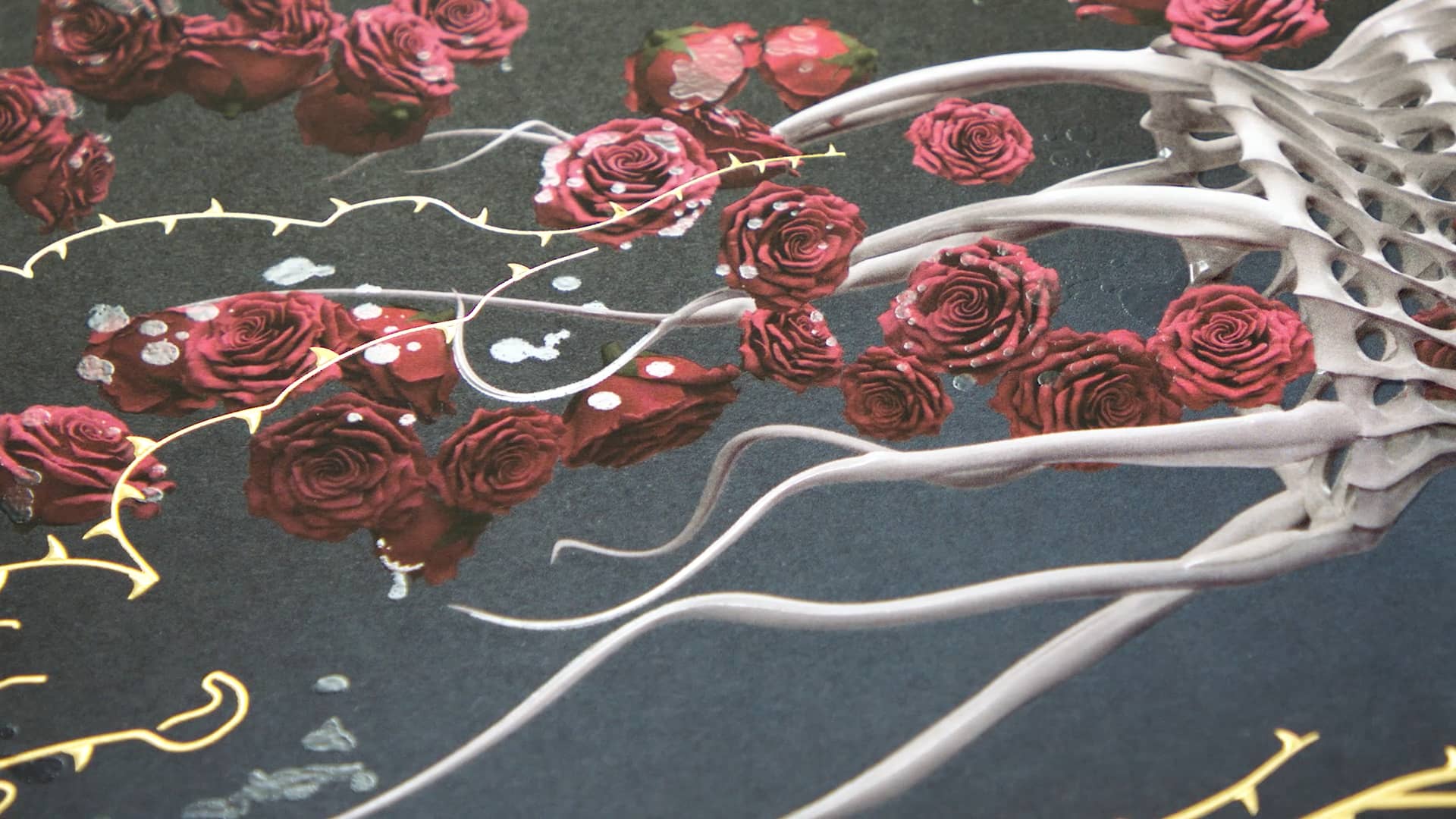 algro-design-trailer_2018 on Vimeo