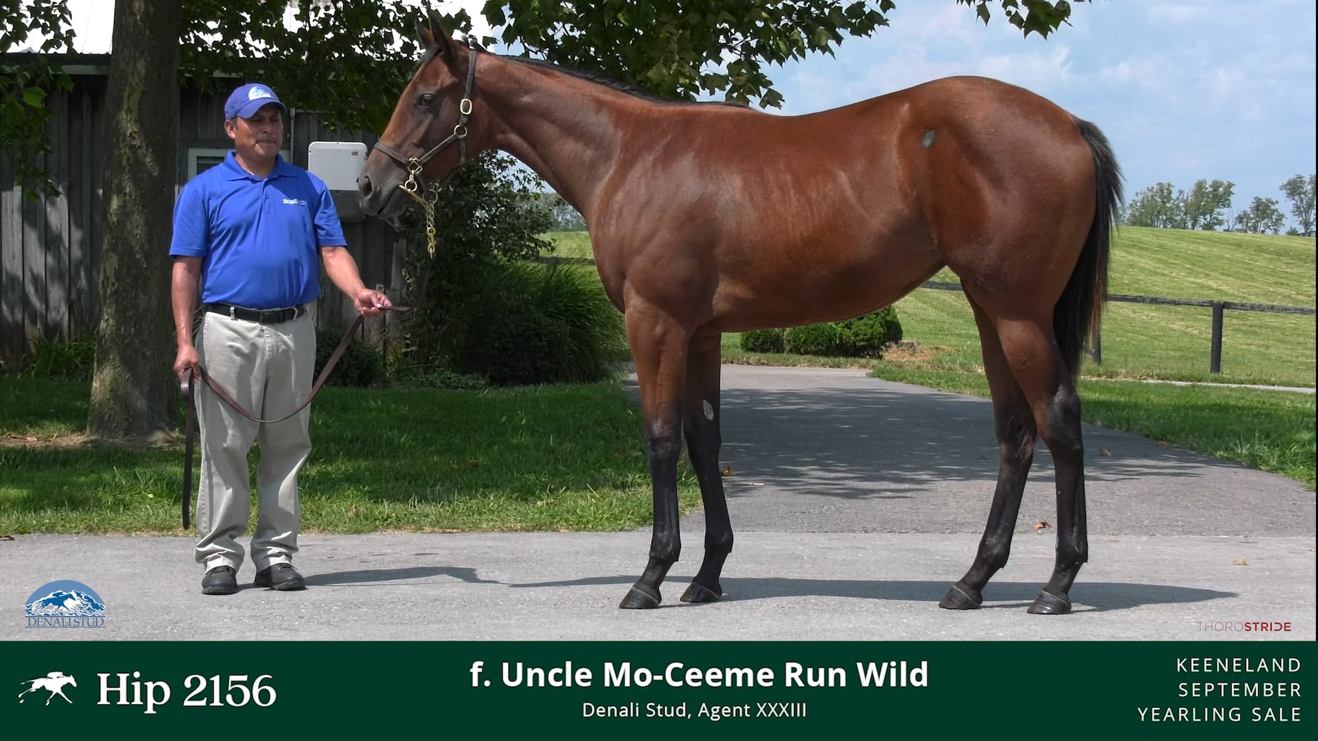 KEESEP22_2156_Ceeme Run Wild 21 on Vimeo