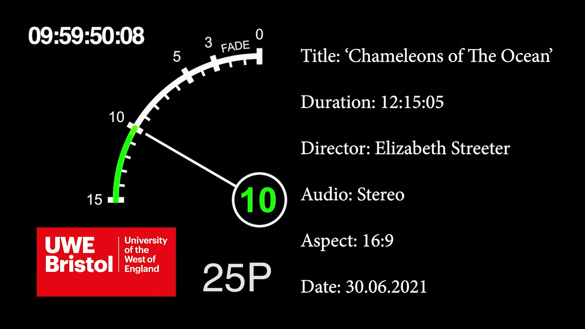 Chameleons of The Ocean Elizabeth Streeter.mp4