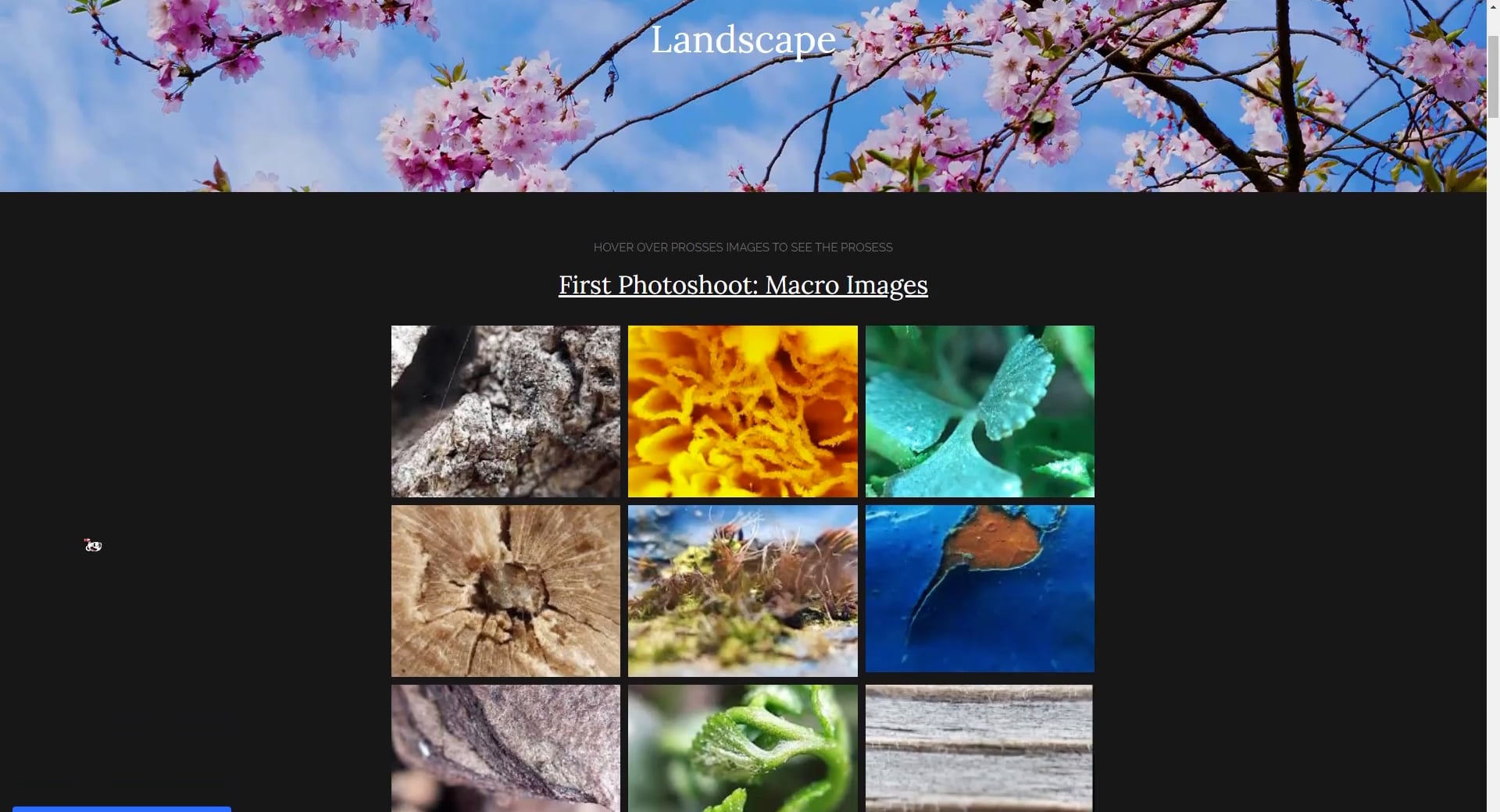 GCSE PHOTOGRAPHY GRADE 9 WORK on Vimeo