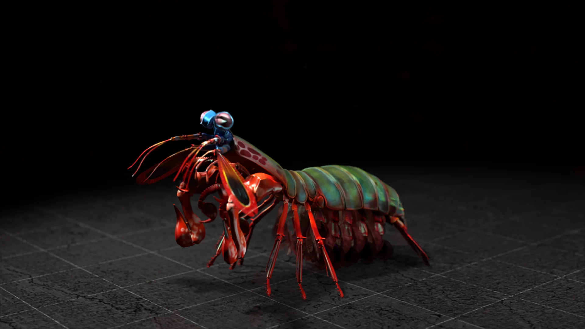 KOP Mantis Shrimp on Vimeo