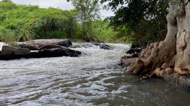 River Stream Water - Free video on Pixabay - Pixabay