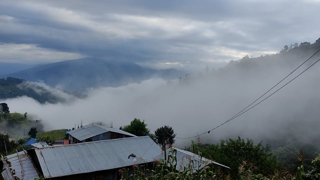 Fog Hill Forest - Free video on Pixabay