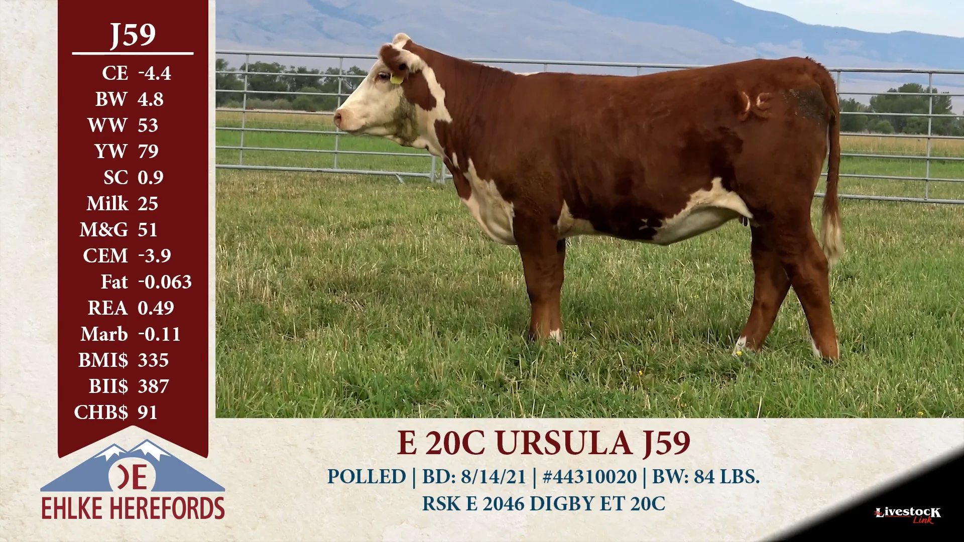 Ehlke - Lot J59 on Vimeo