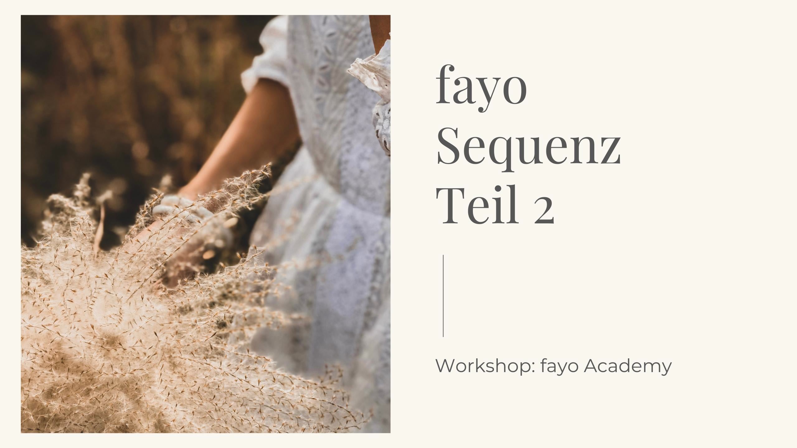 fayo Sequenz Teil 2 on Vimeo