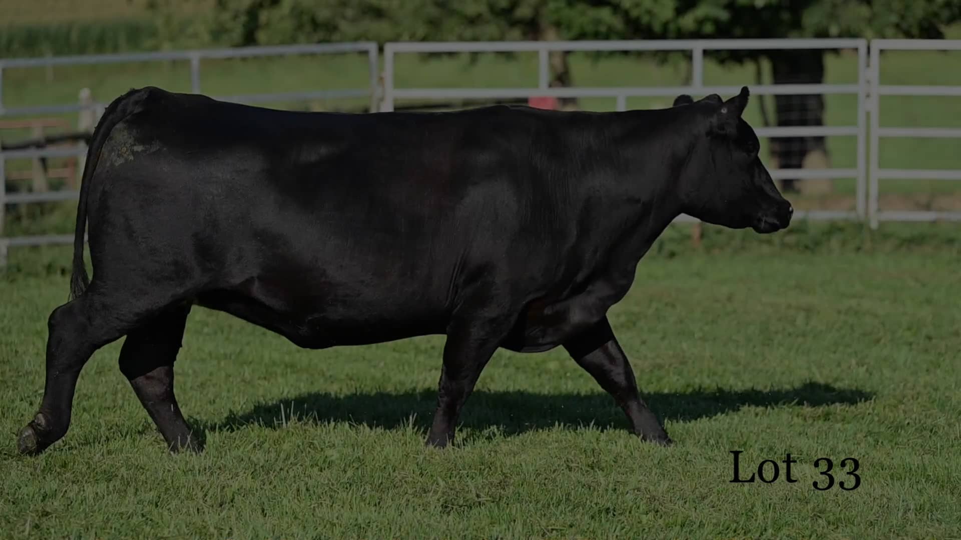 Sankey Lot 33 on Vimeo