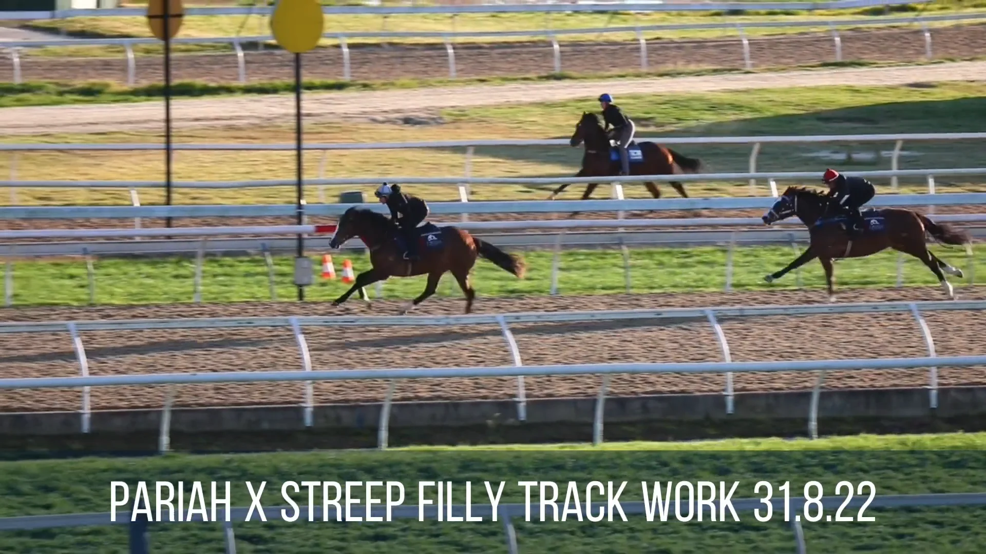 Pariah x Streep filly track work 31.8.22 on Vimeo