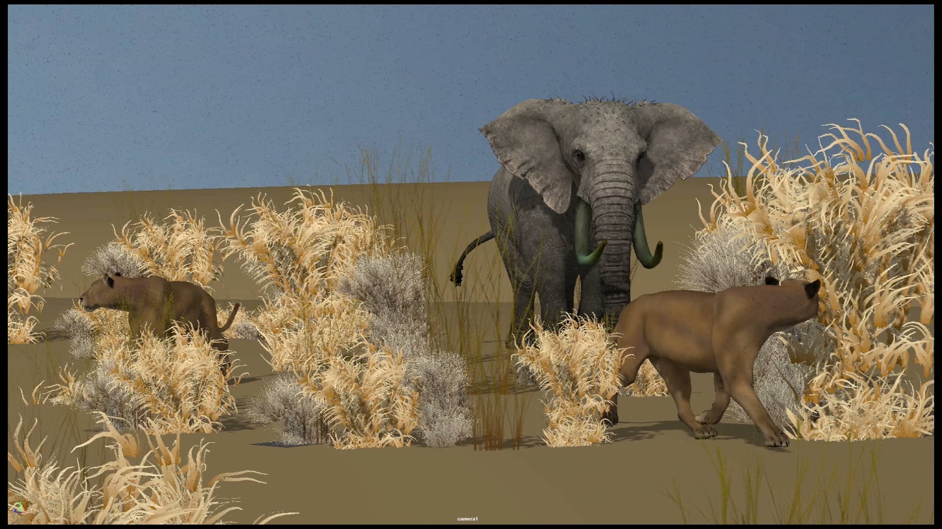 Sumanth Elephant Reel.mov on Vimeo