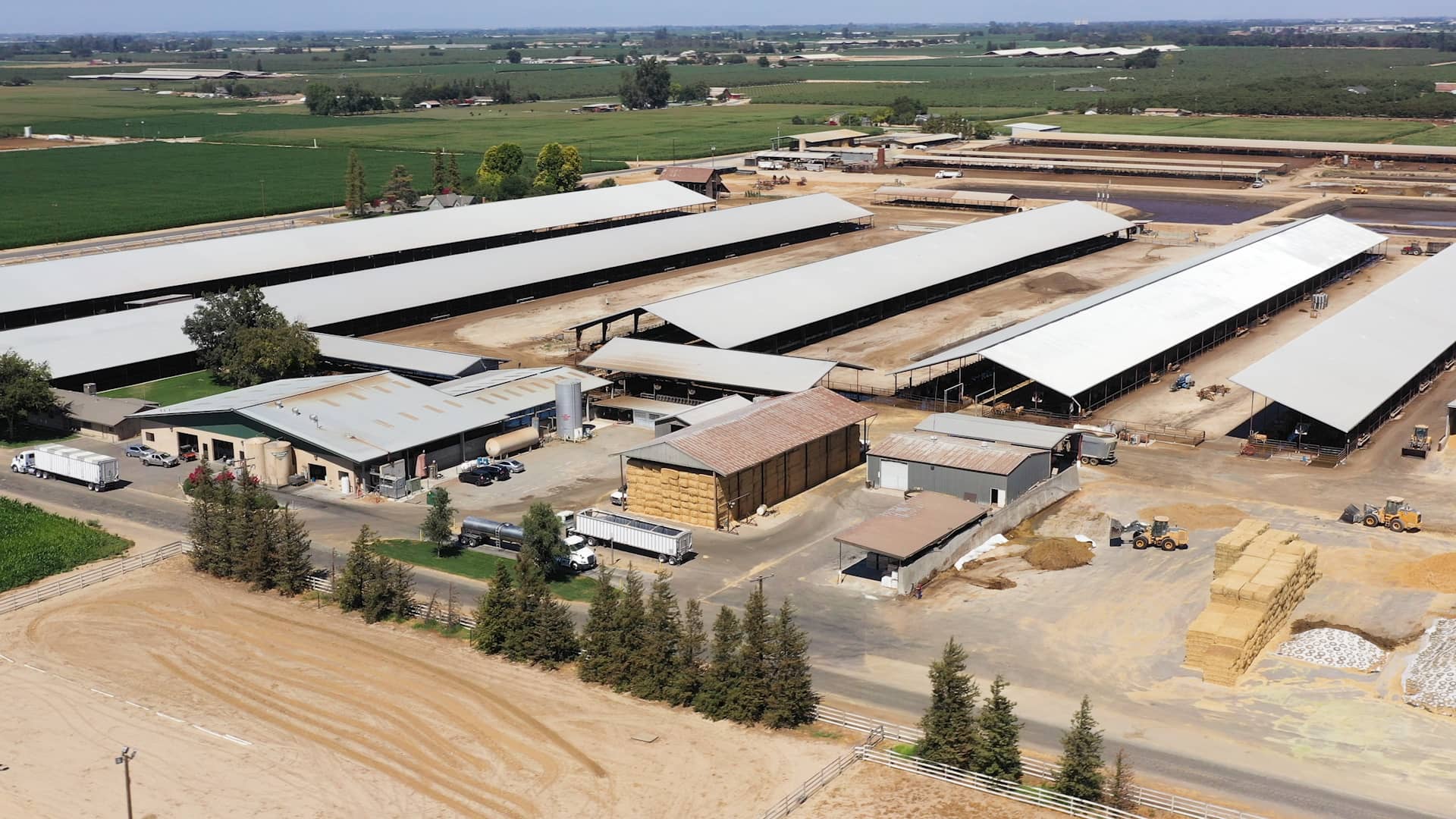 Trans Ova - Wickstrom Jersey Farms on Vimeo