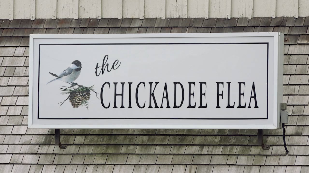 Chamber Chat - The Chickadee Flea - August 31, 2022 on Vimeo