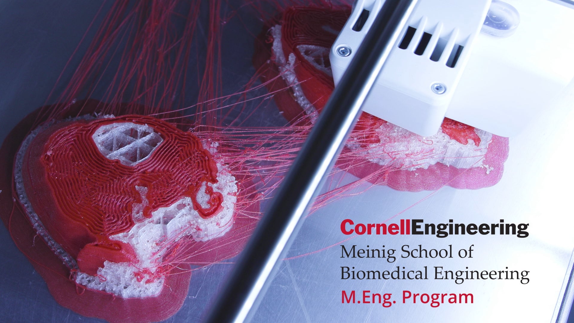 Cornell Engineering - Cornell BME MEng Promo on Vimeo