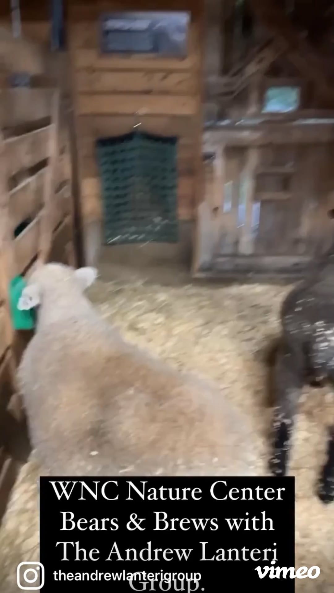 Bears & Brews at the WNC Nature Center on Vimeo