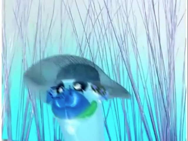 World Animals in G Major [Part 2] on Vimeo