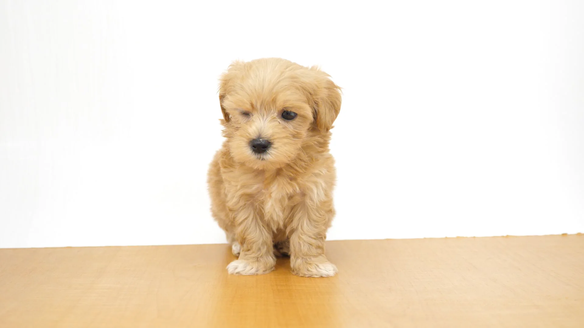 636869_ext_34_0 on Vimeo