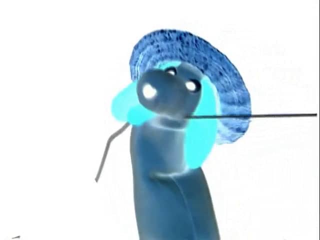 Neighborhood Animals in G Major [Part 2] on Vimeo