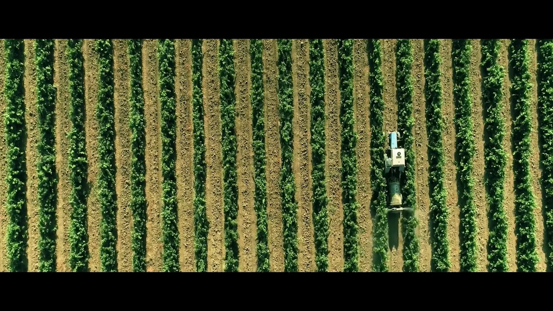intro video on Vimeo