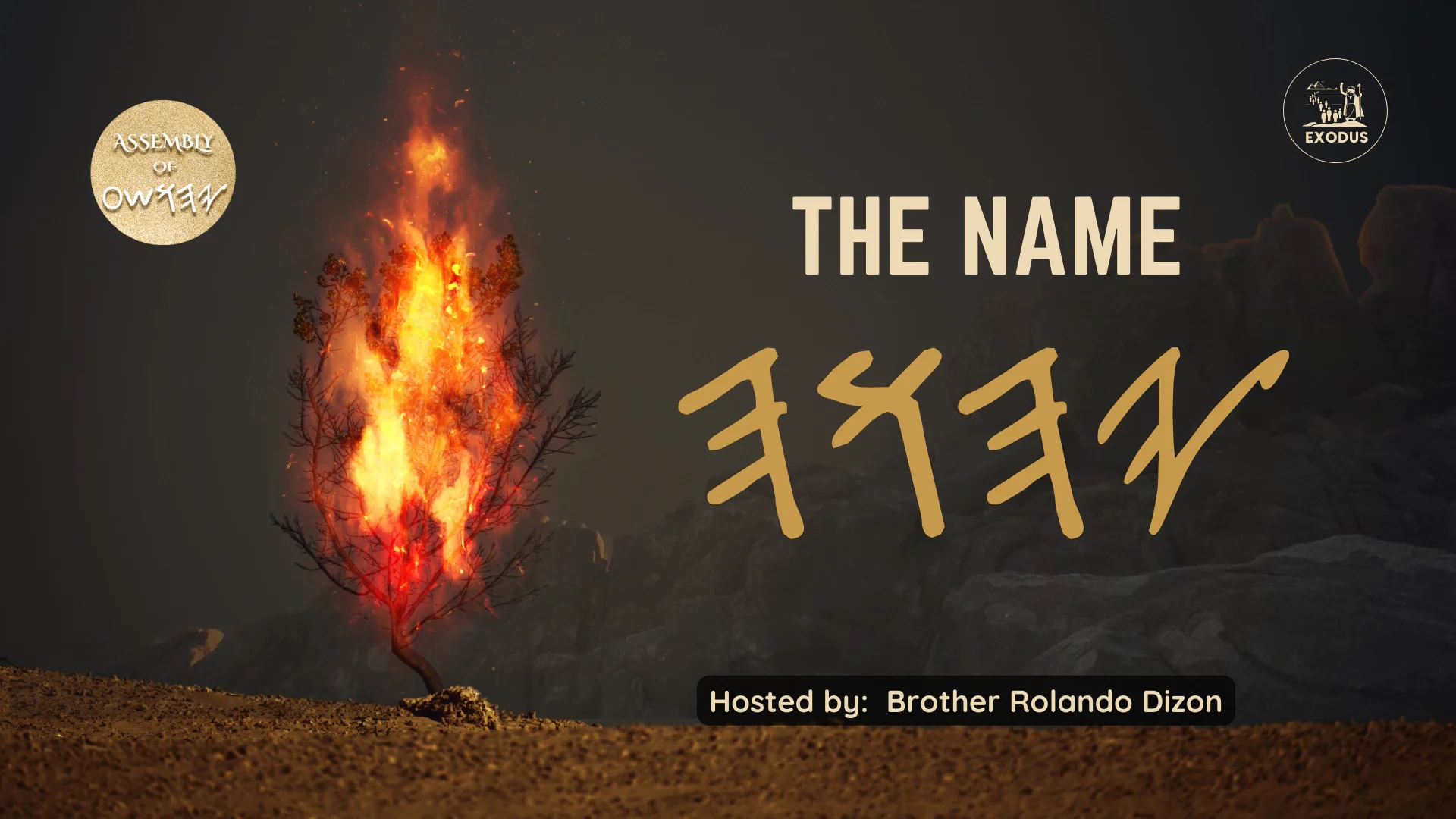 The Name on Vimeo