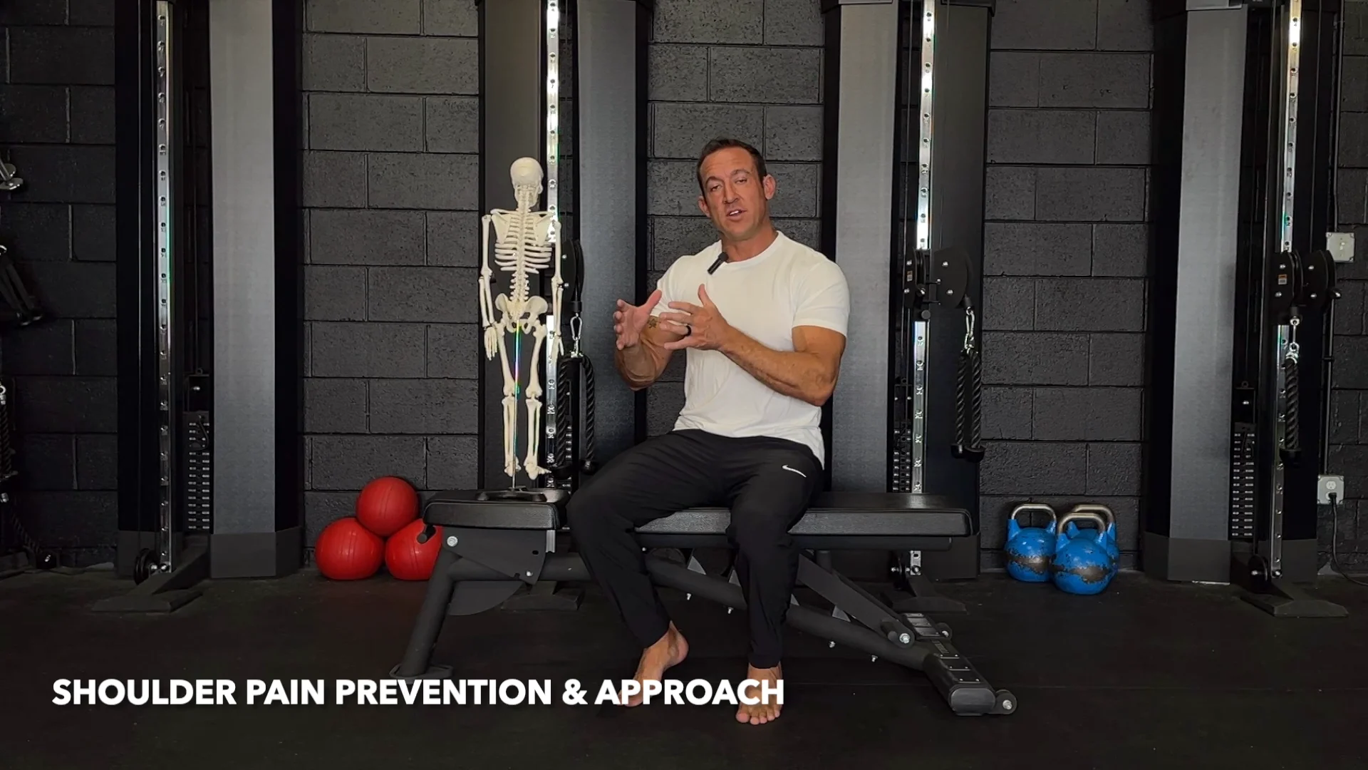 Shoulder Pain Prevention & Approach.mp4 on Vimeo
