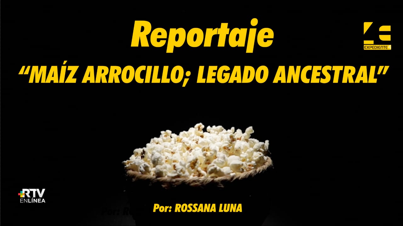 Disfruta de Maíz Arrocillo; Legado Ancestral, Expediente 4 - RTV En Línea