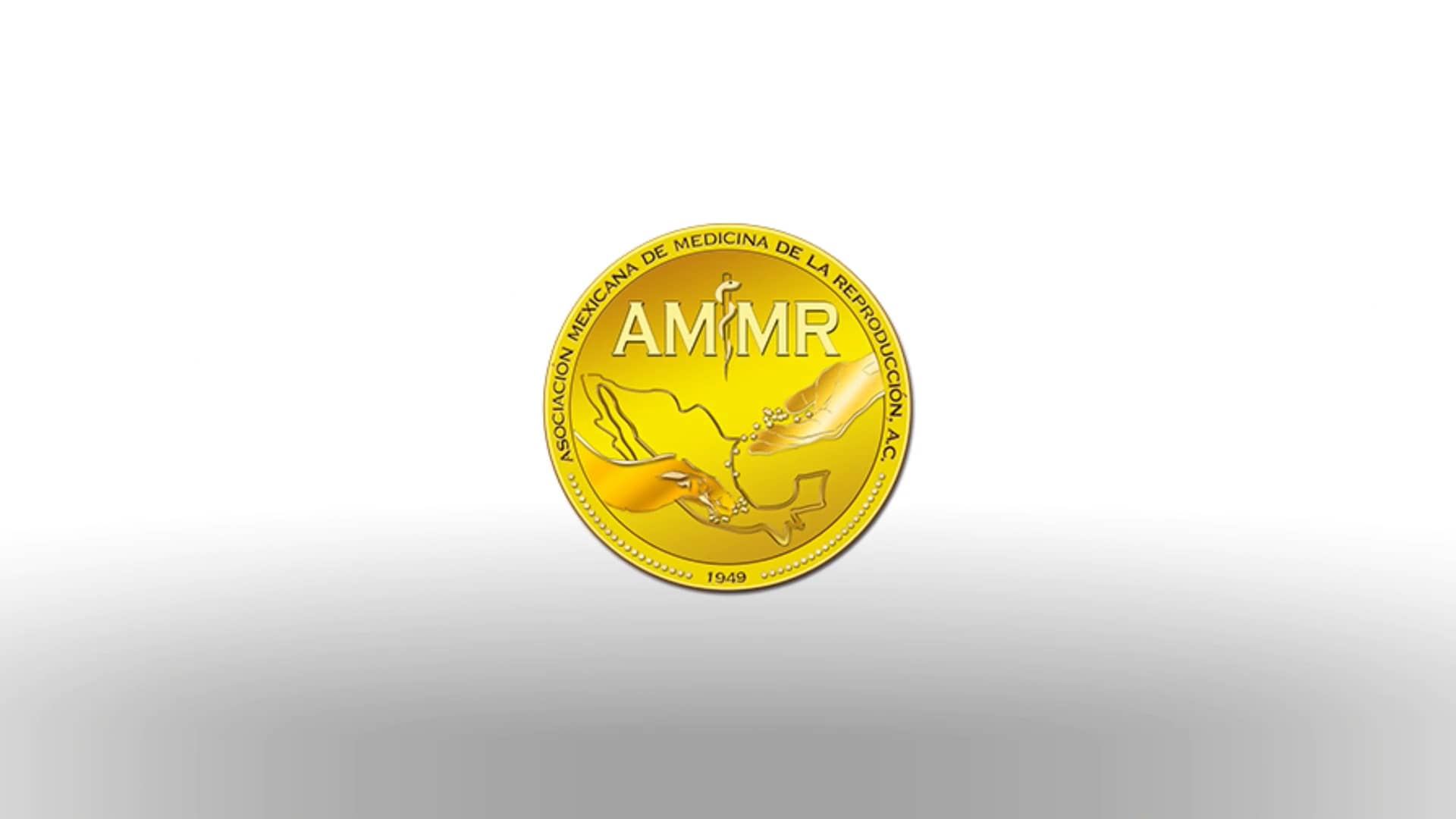 AMMR ORIGINAL 26 AGOSTO on Vimeo