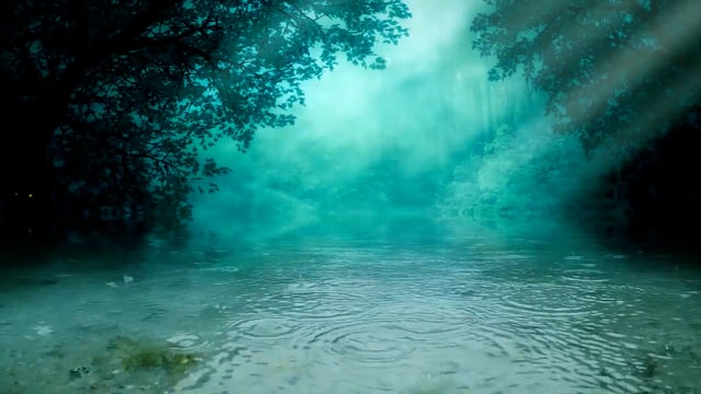 Rain, River, Lake. Free Stock Video - Pixabay