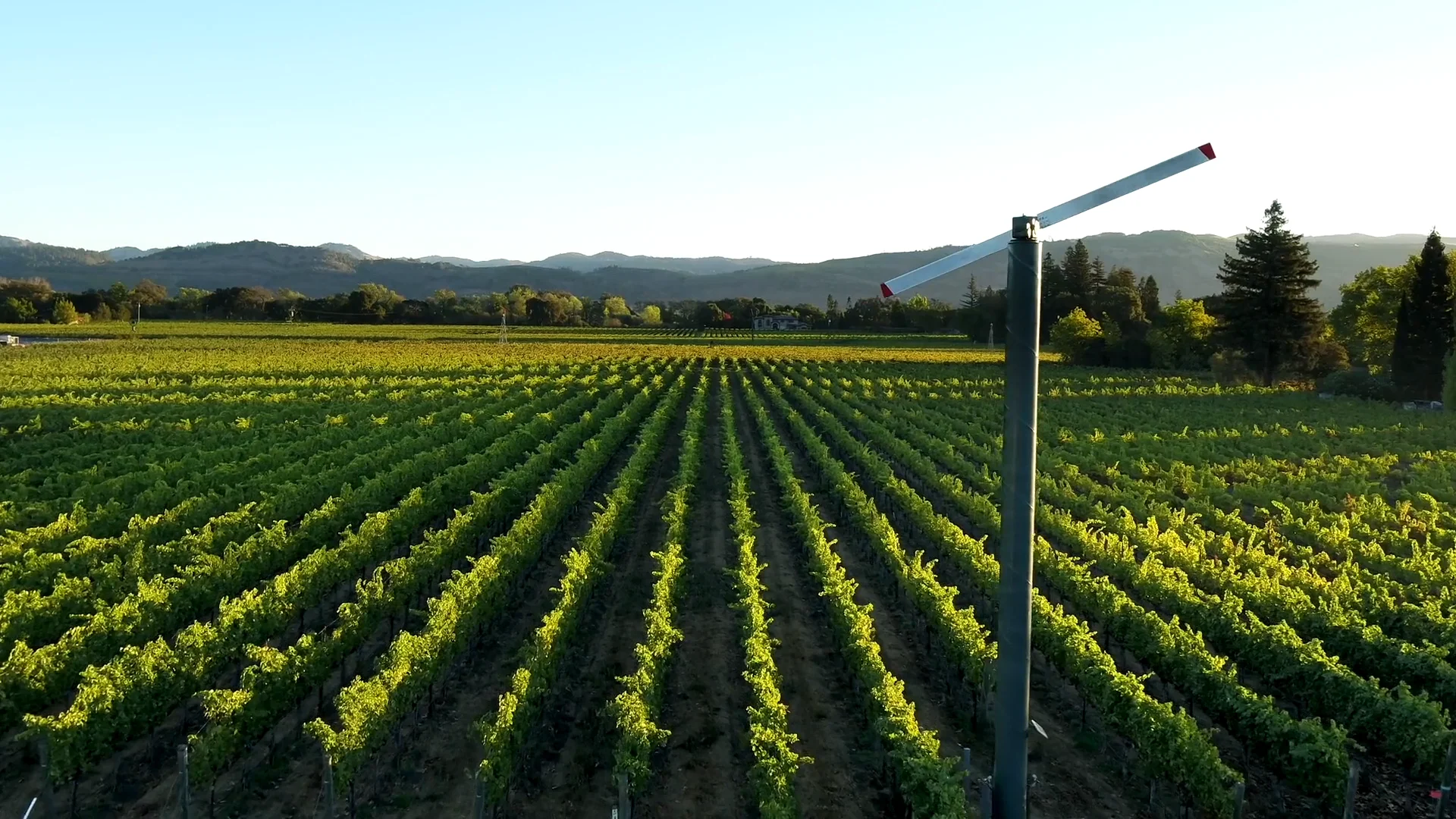 Cakebread (Chef Brian) Cheese & Wine on Vimeo