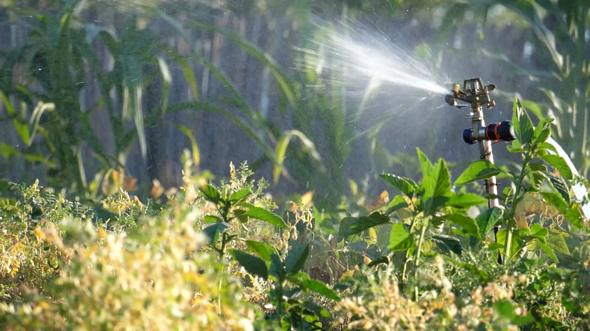 Equipo De Riego - DRIMEX SISTEMAS DE RIEGO