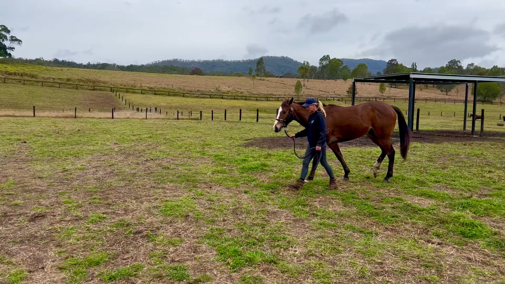 Trapeze Artist x Sedanzer Colt - Newington Farm 2.9.22 on Vimeo