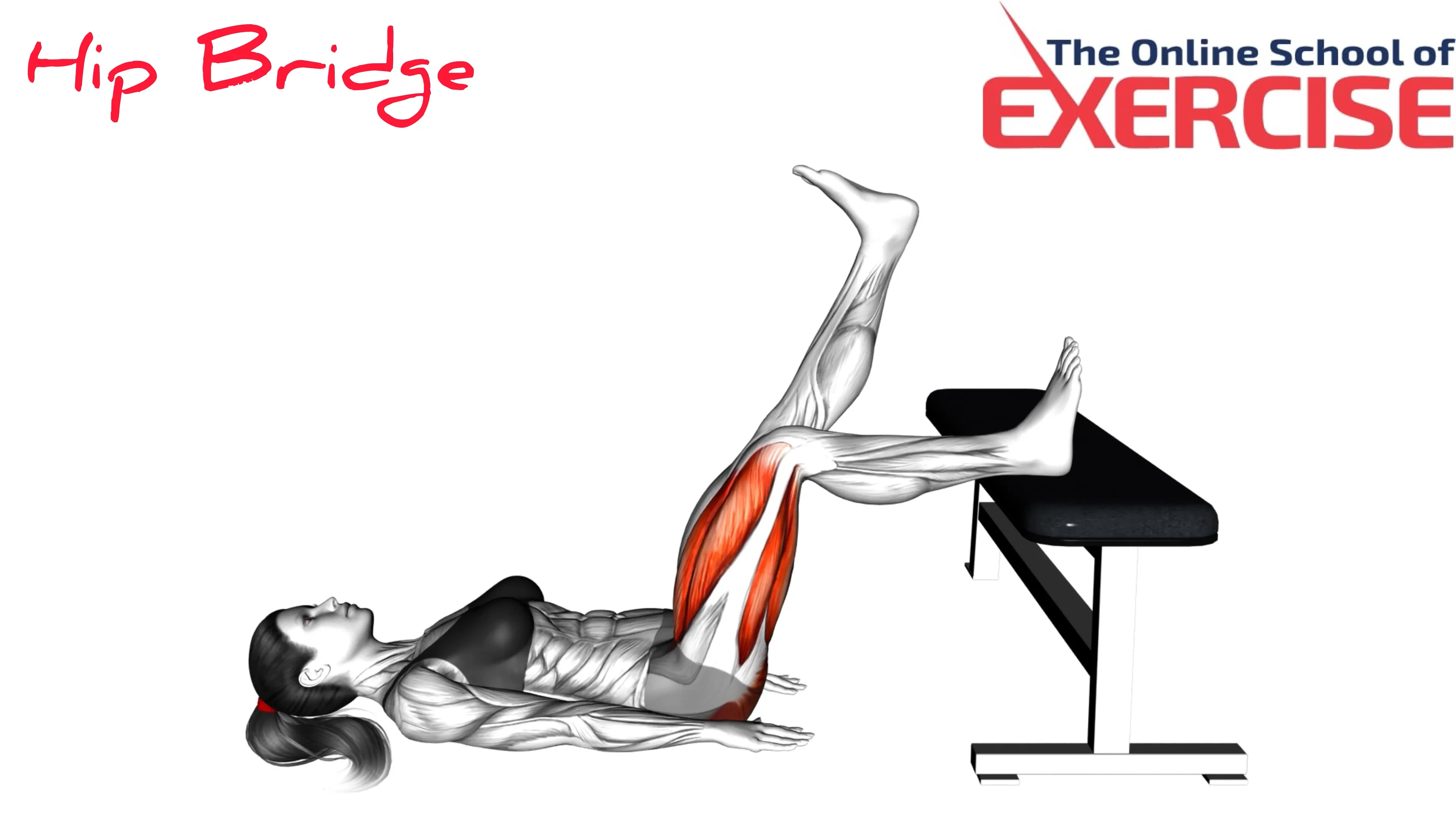 Unilateral Hip Bridge on Bench