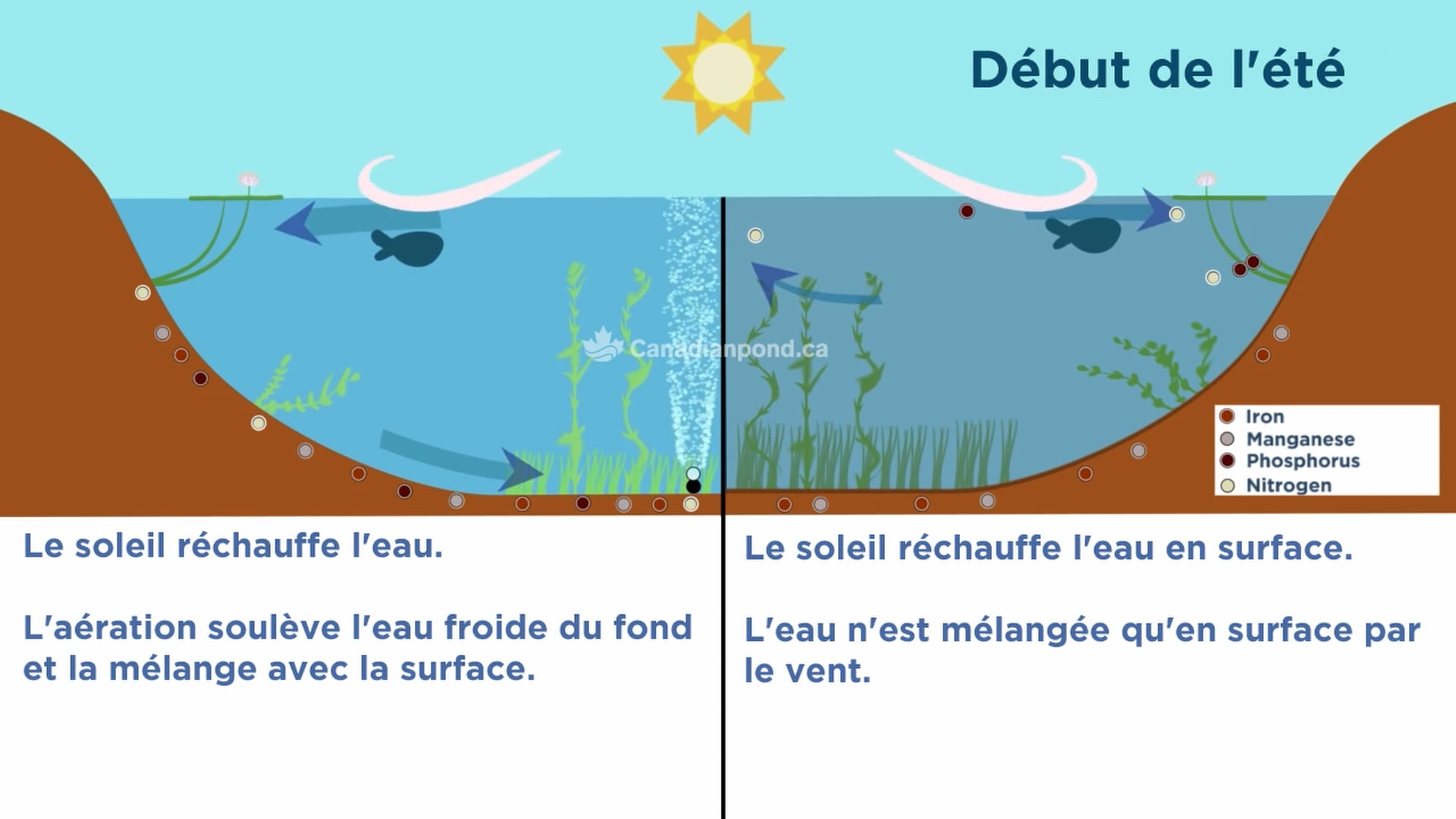 Étang aéré Vs étang non-aéré on Vimeo