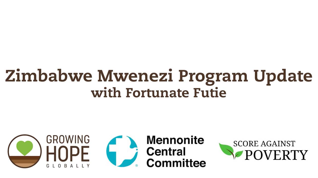 Zimbabwe Mwenezi Program Update with Fortunate Futie on Vimeo