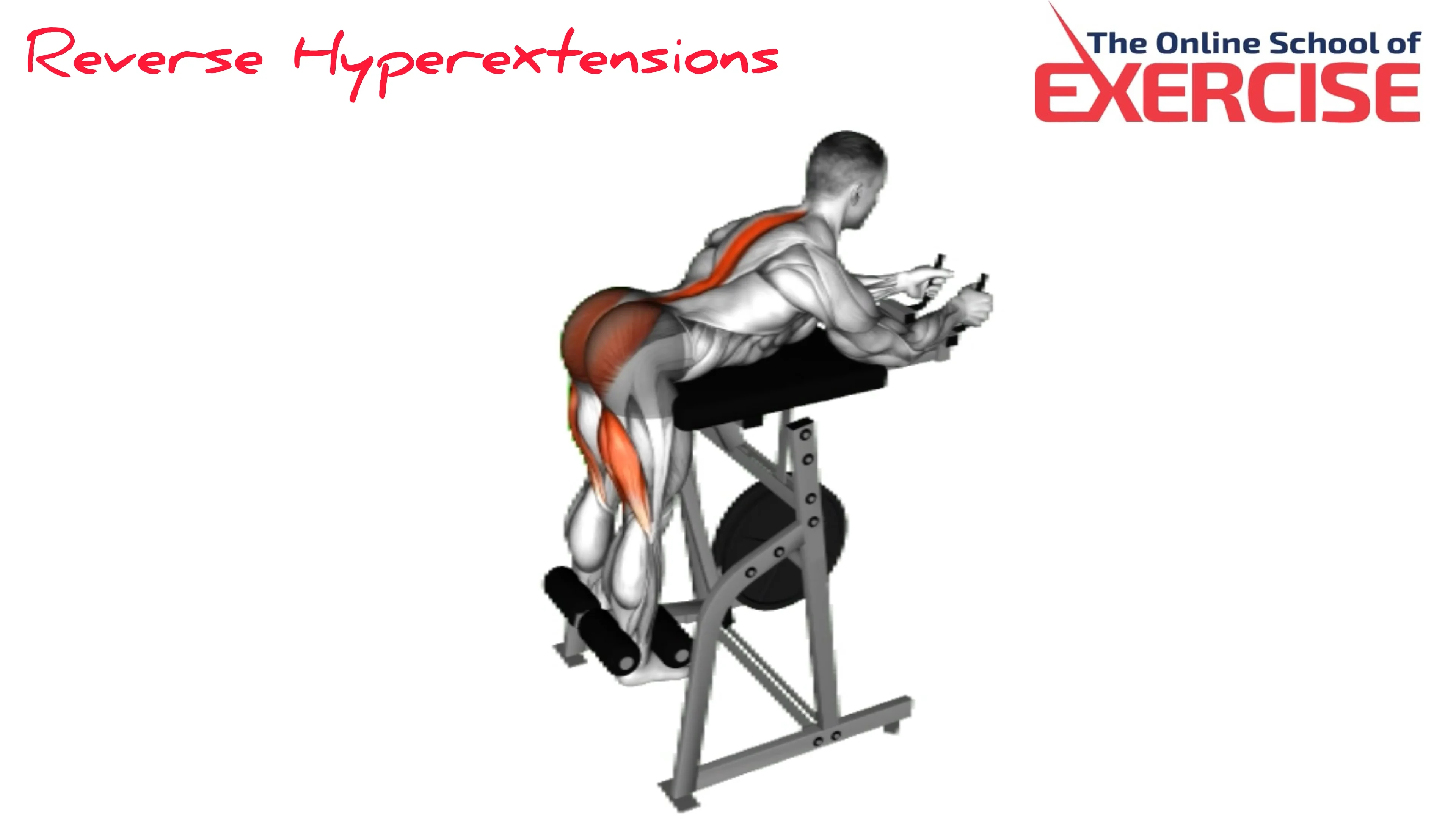 Reverse Hyperextensions on Vimeo