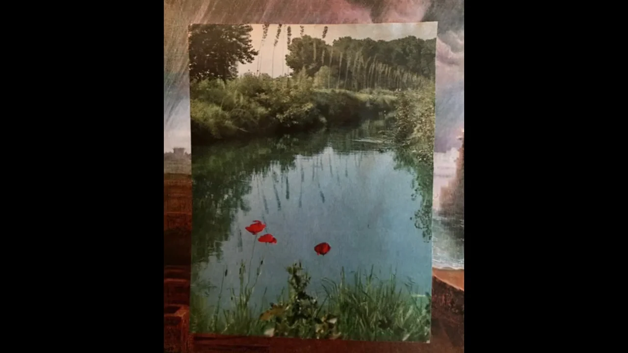 Pond Collage Video .mp4 on Vimeo